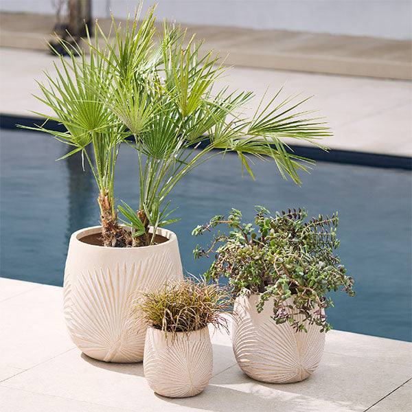 Axel Planter - Sand – 13-inches
