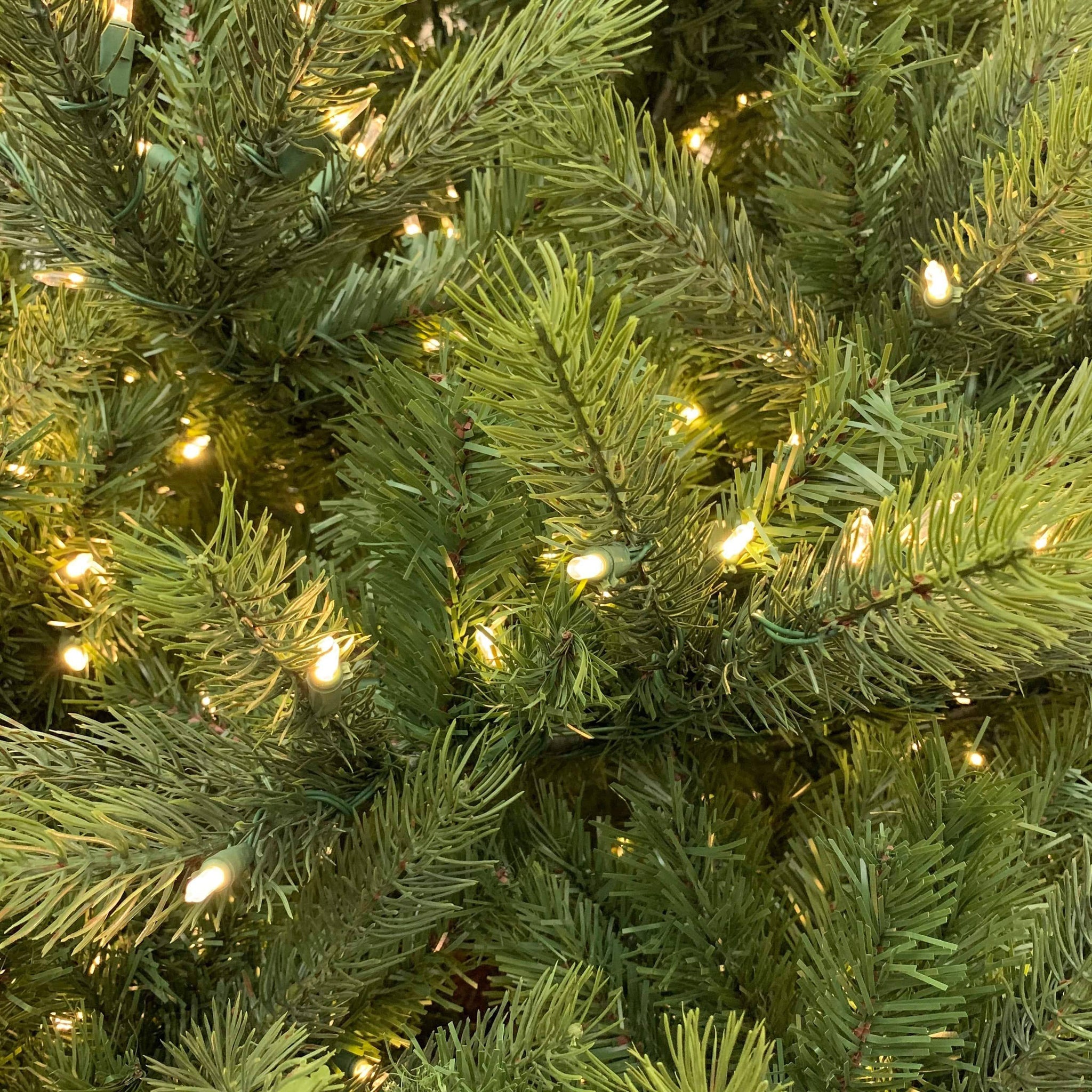 Ashville Fir Multi-Function LED Lights 7.5 Ft.