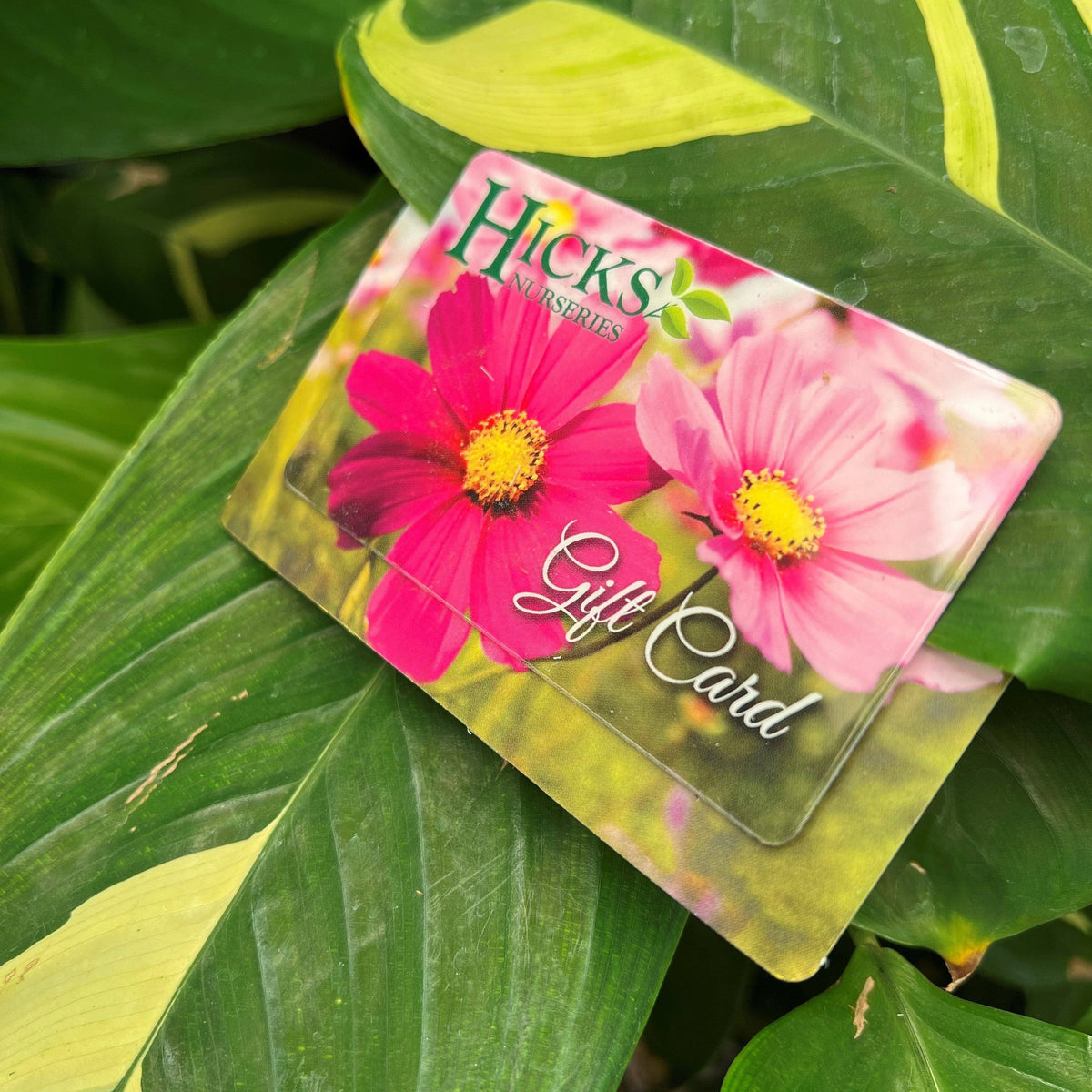 Hicks Nurseries In-Store Gift Card