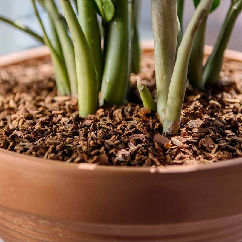 SuperMoss® – Orchid Bark – 24 Qt.