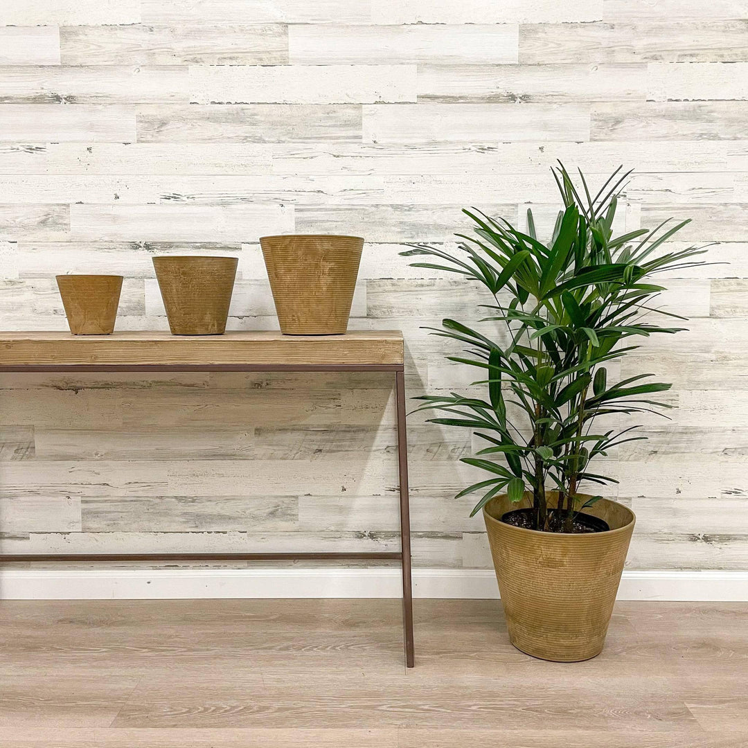 Neutral Planters