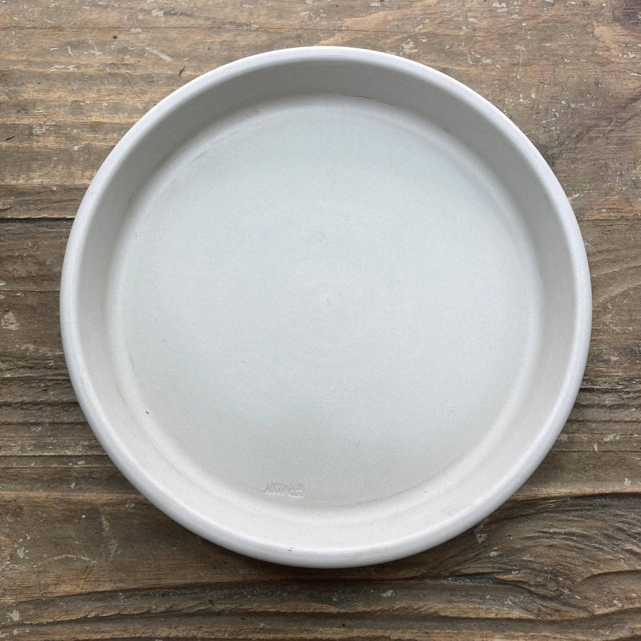 Saucers